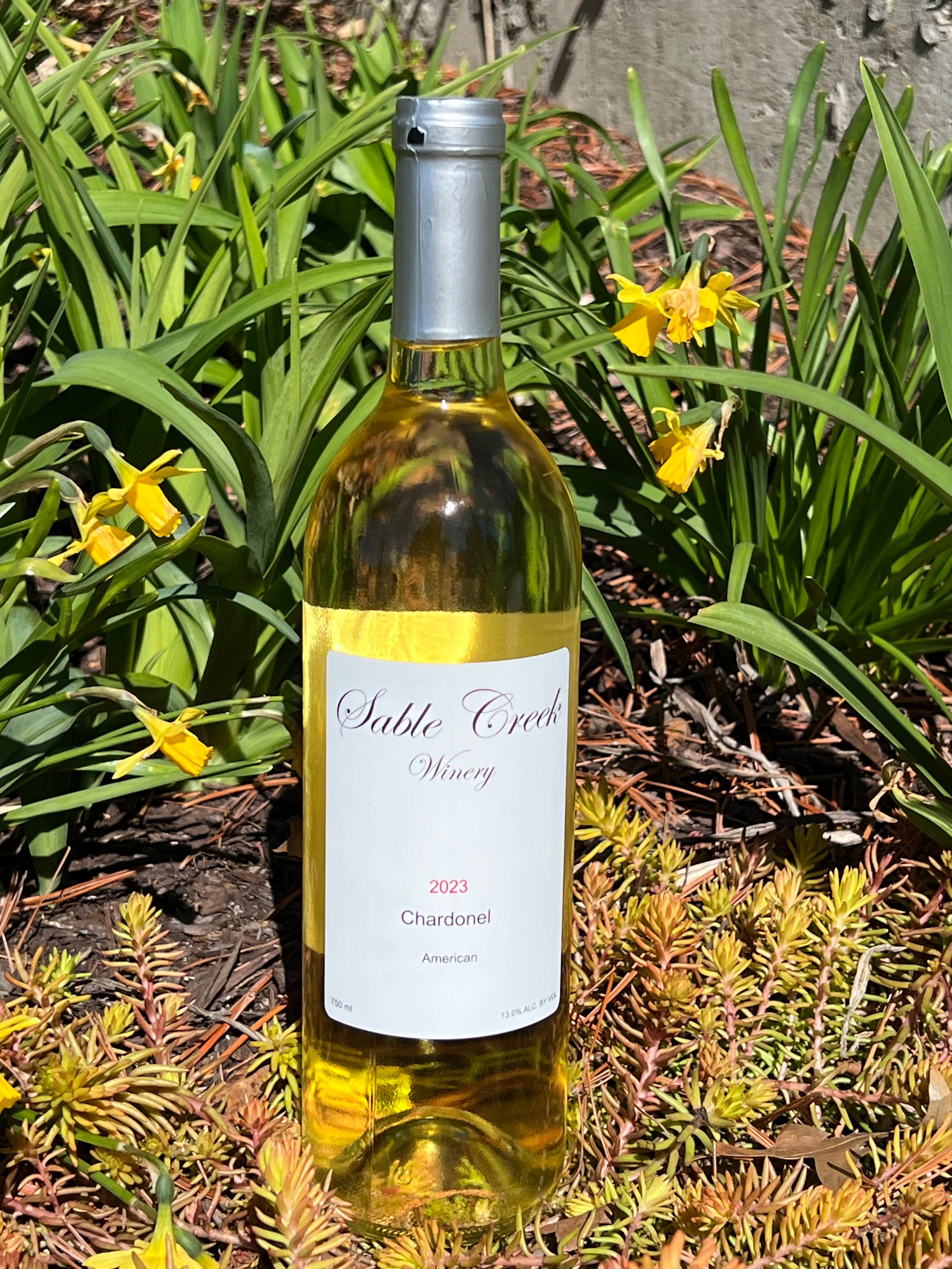 Chardonel | Sable Creek Winery